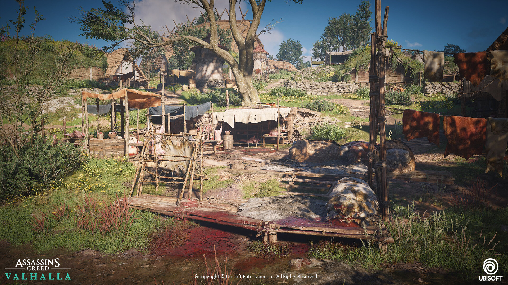 detelin-yonchev-08.jpg (1920×1080)-花瓣网