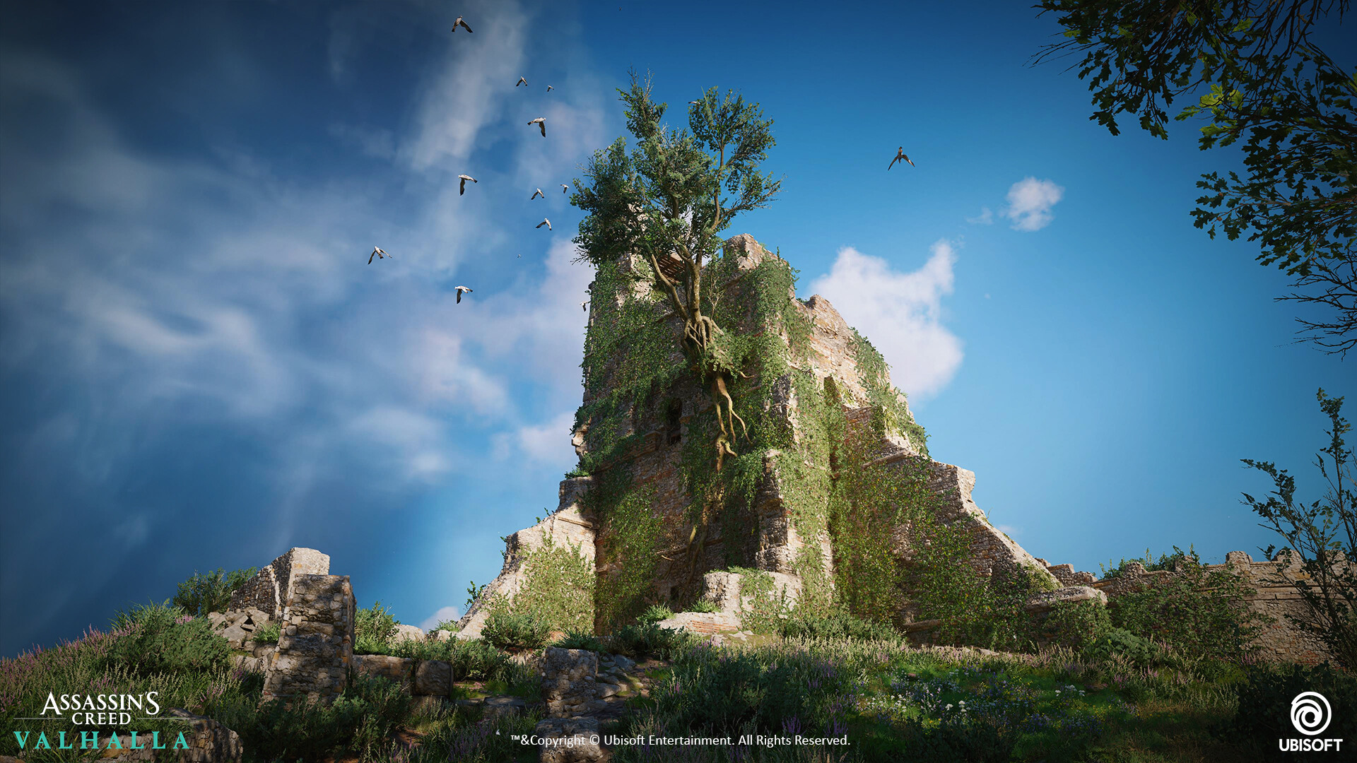 detelin-yonchev-99.jpg (1920×1080)-花瓣网