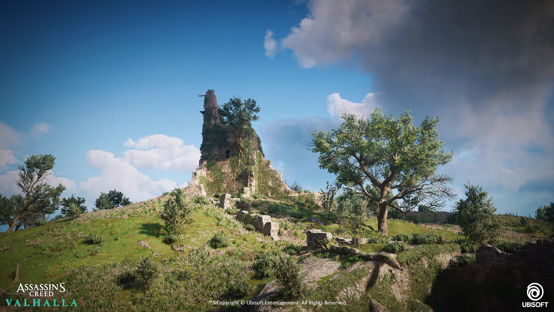 detelin-yonchev-2.jpg (1920×1080)-花瓣网