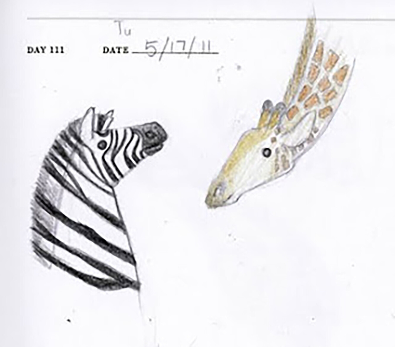 ArtStation - Zebra Giraffe