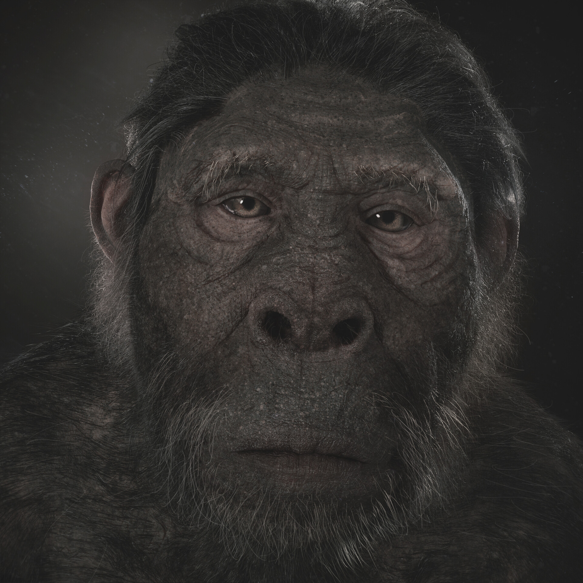 Arash Hadavi - Evolution