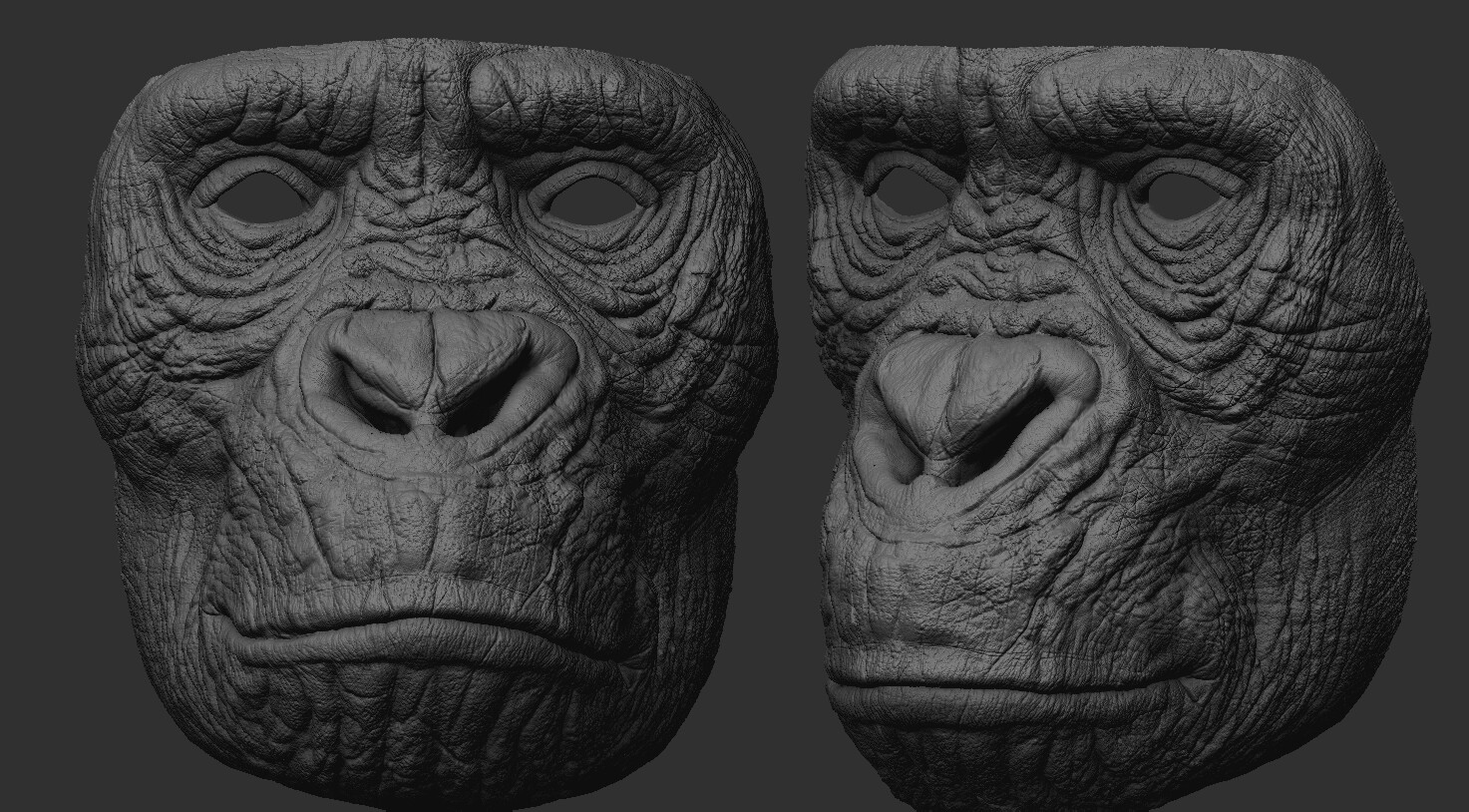 Arash Hadavi - Evolution