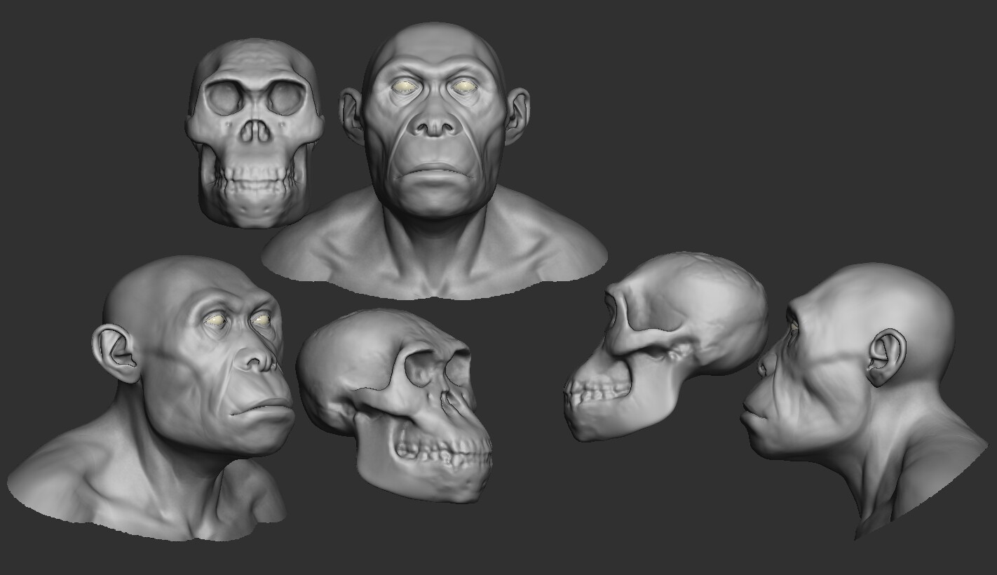 Arash Hadavi - Evolution