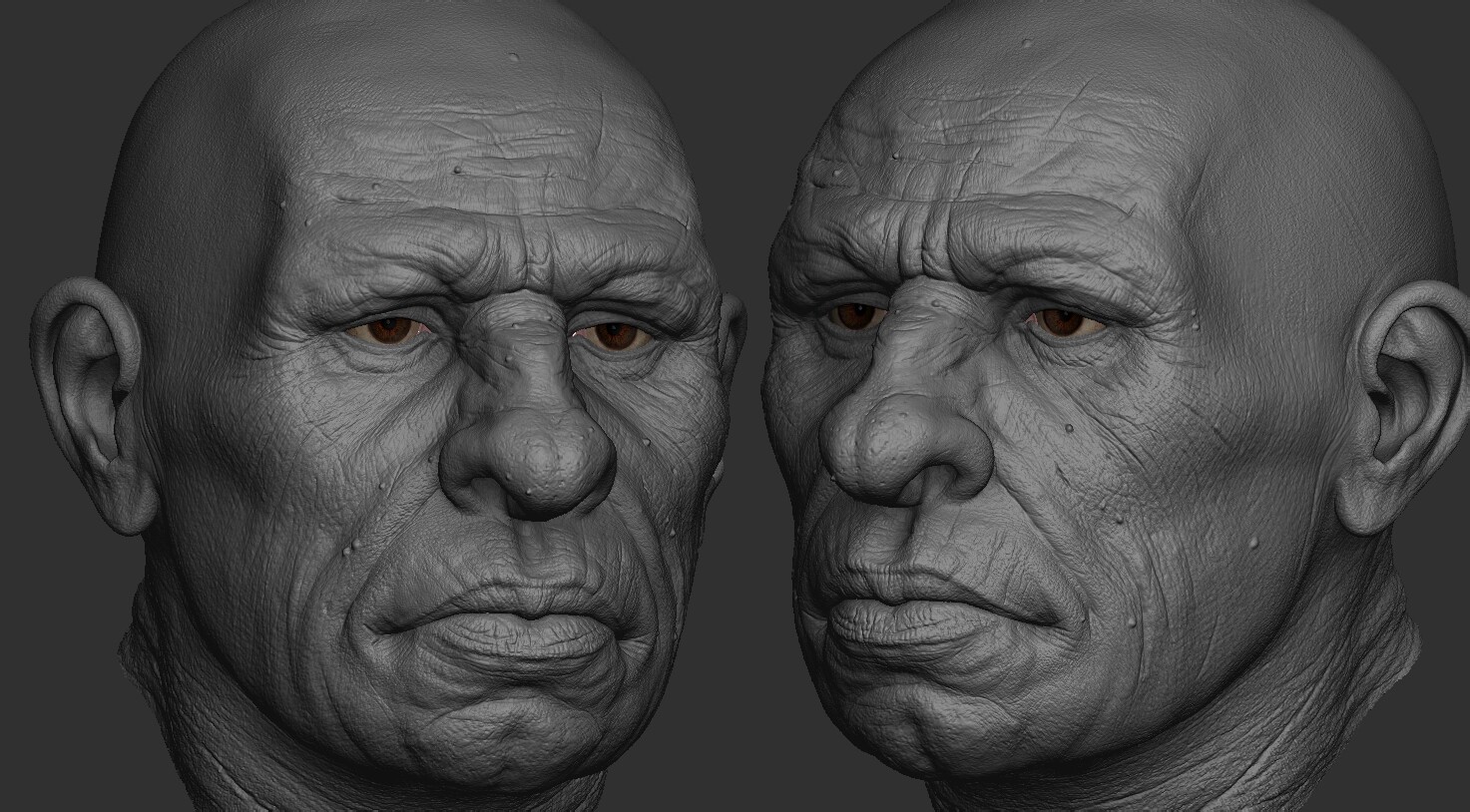 Arash Hadavi - Evolution