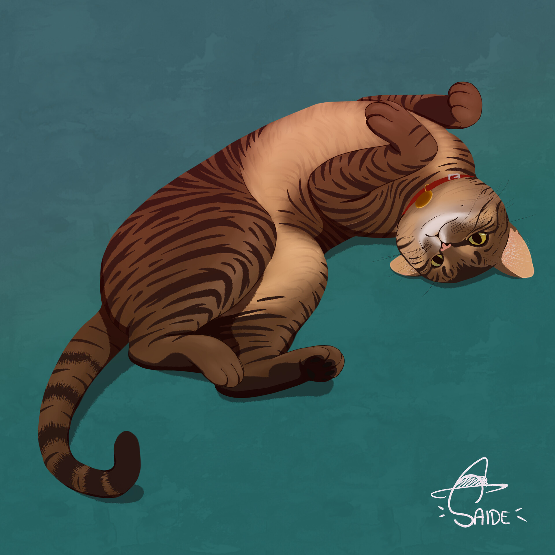 ArtStation - Belly Cat