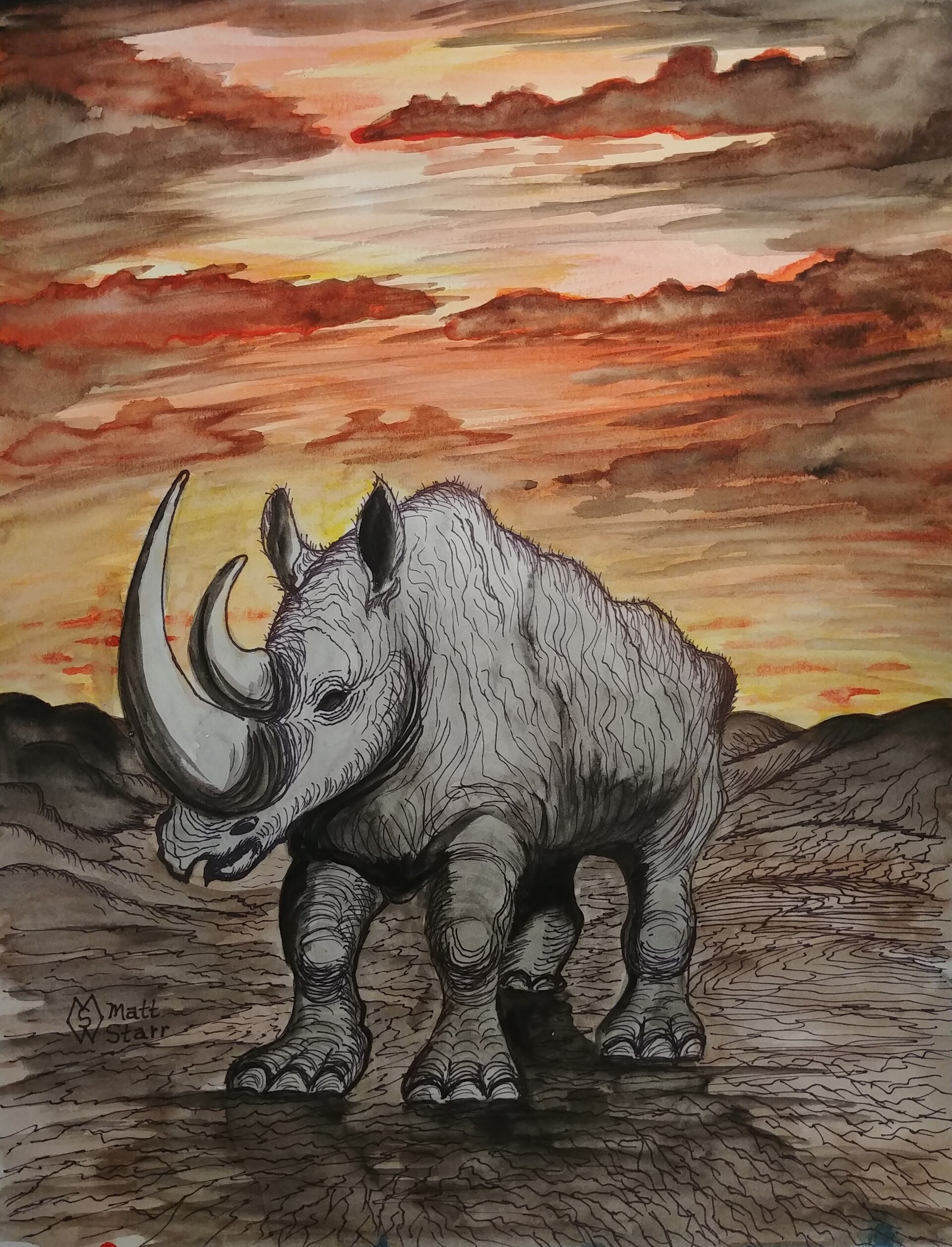ArtStation - The Sun Sets on the Rhinoceros