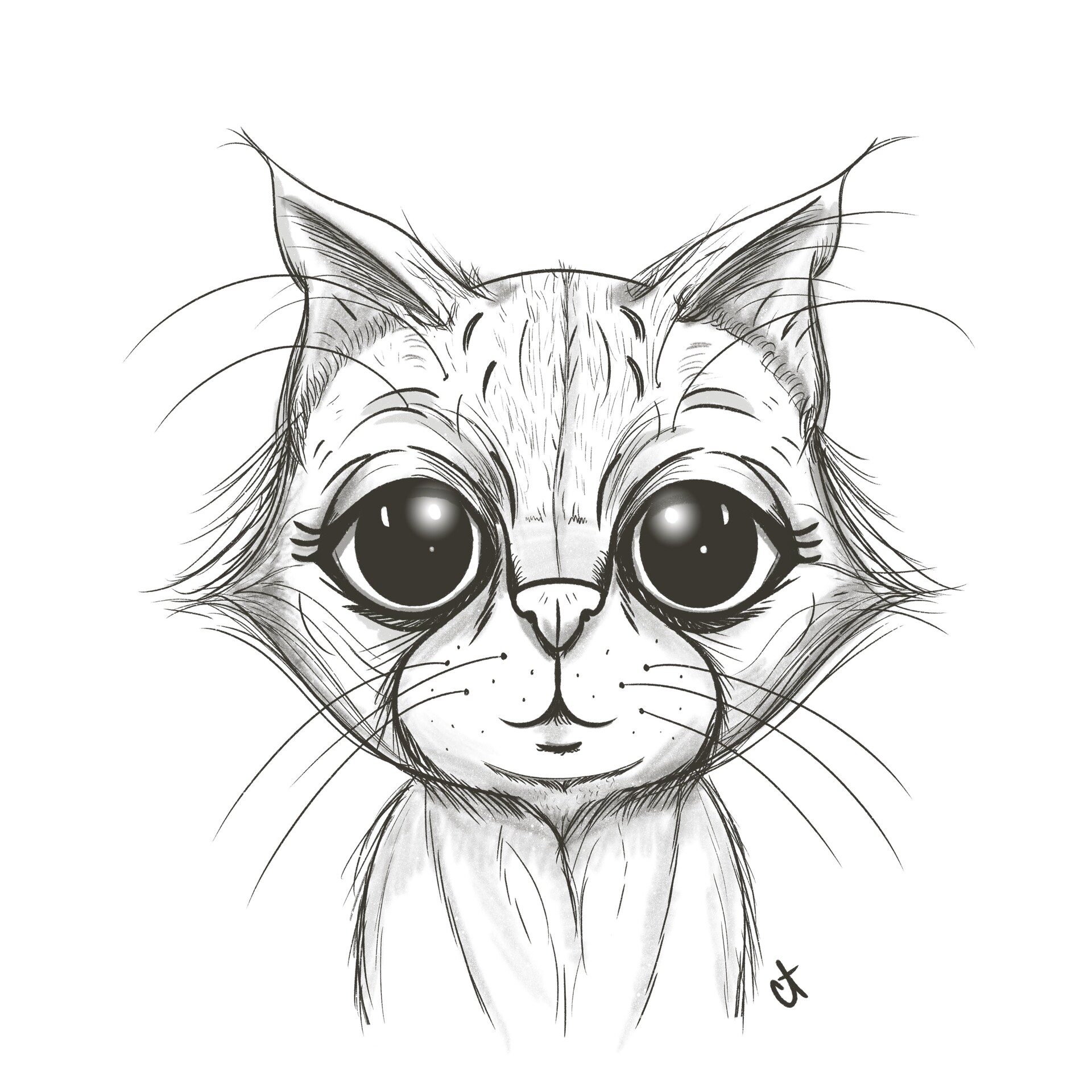 ArtStation - Original Cat sketch