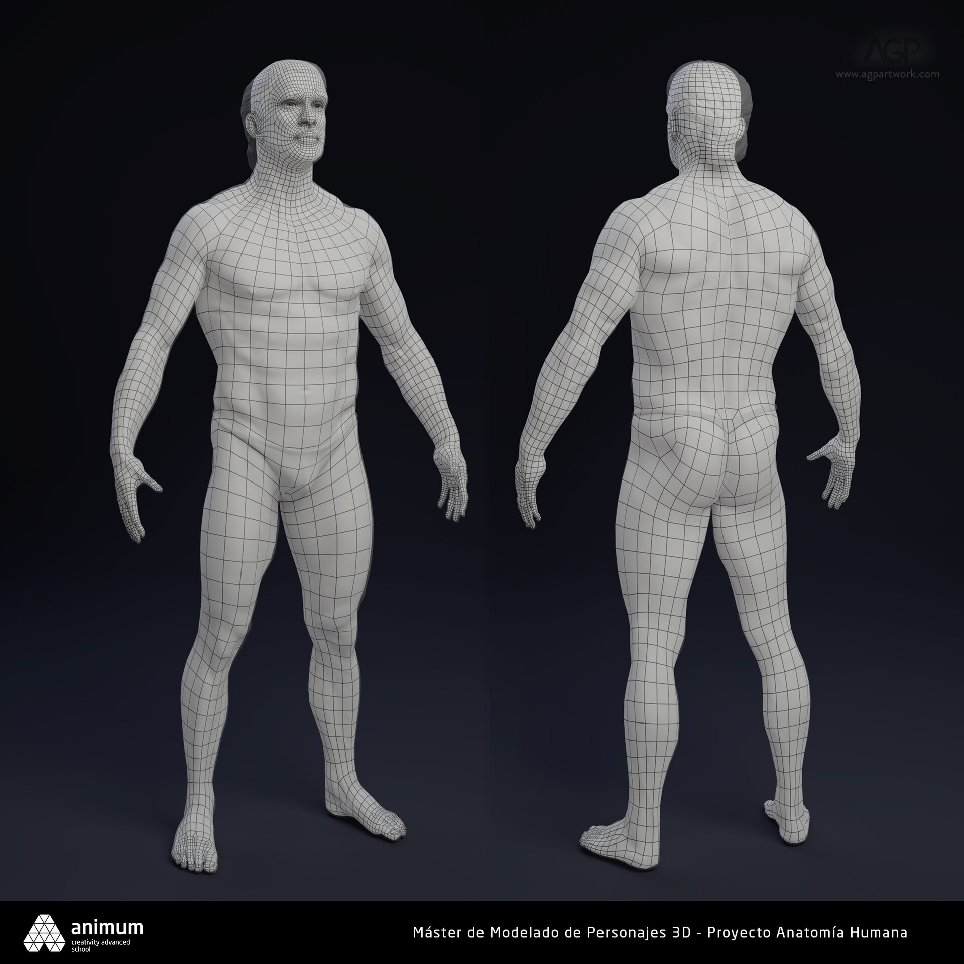 Anna García Puigdelloses - Study of Human Anatomy