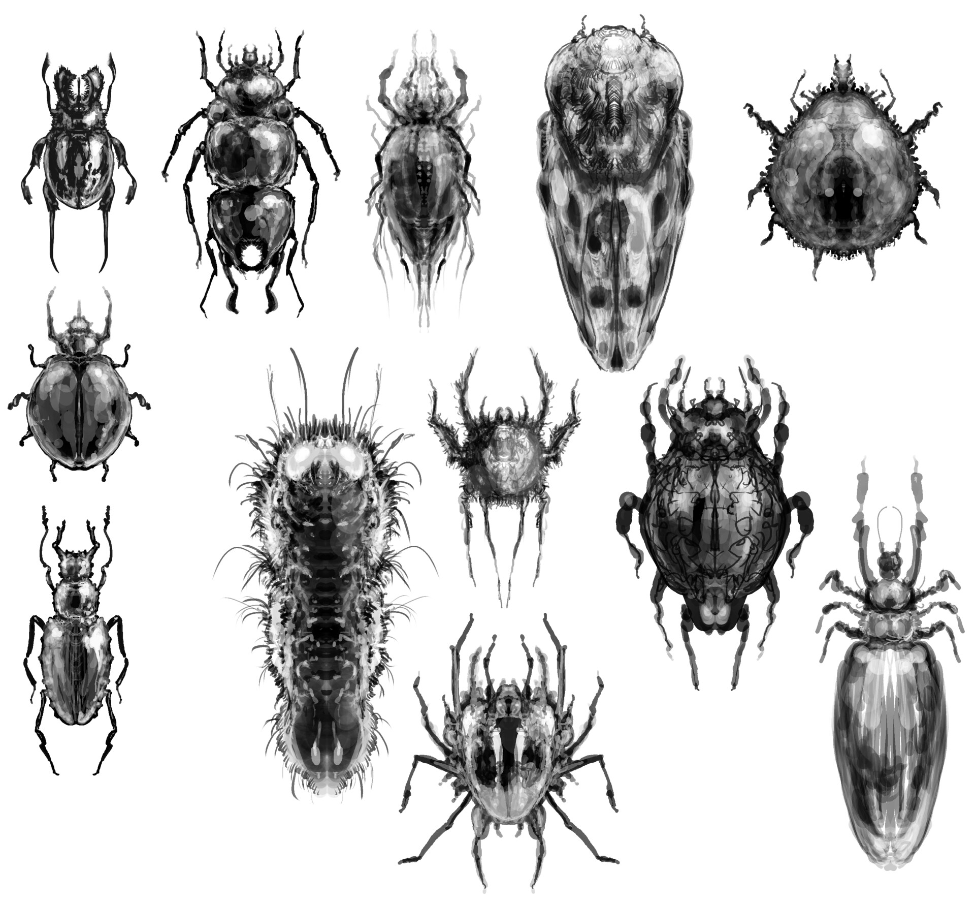 ArtStation - Bugs study