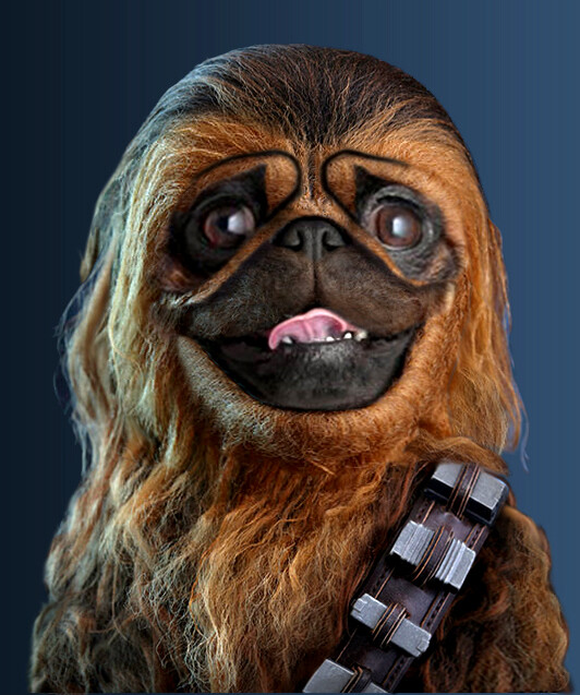 ArtStation - Pug Chewy
