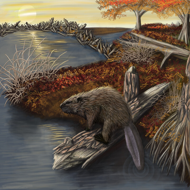 ArtStation - Michael Jespersen