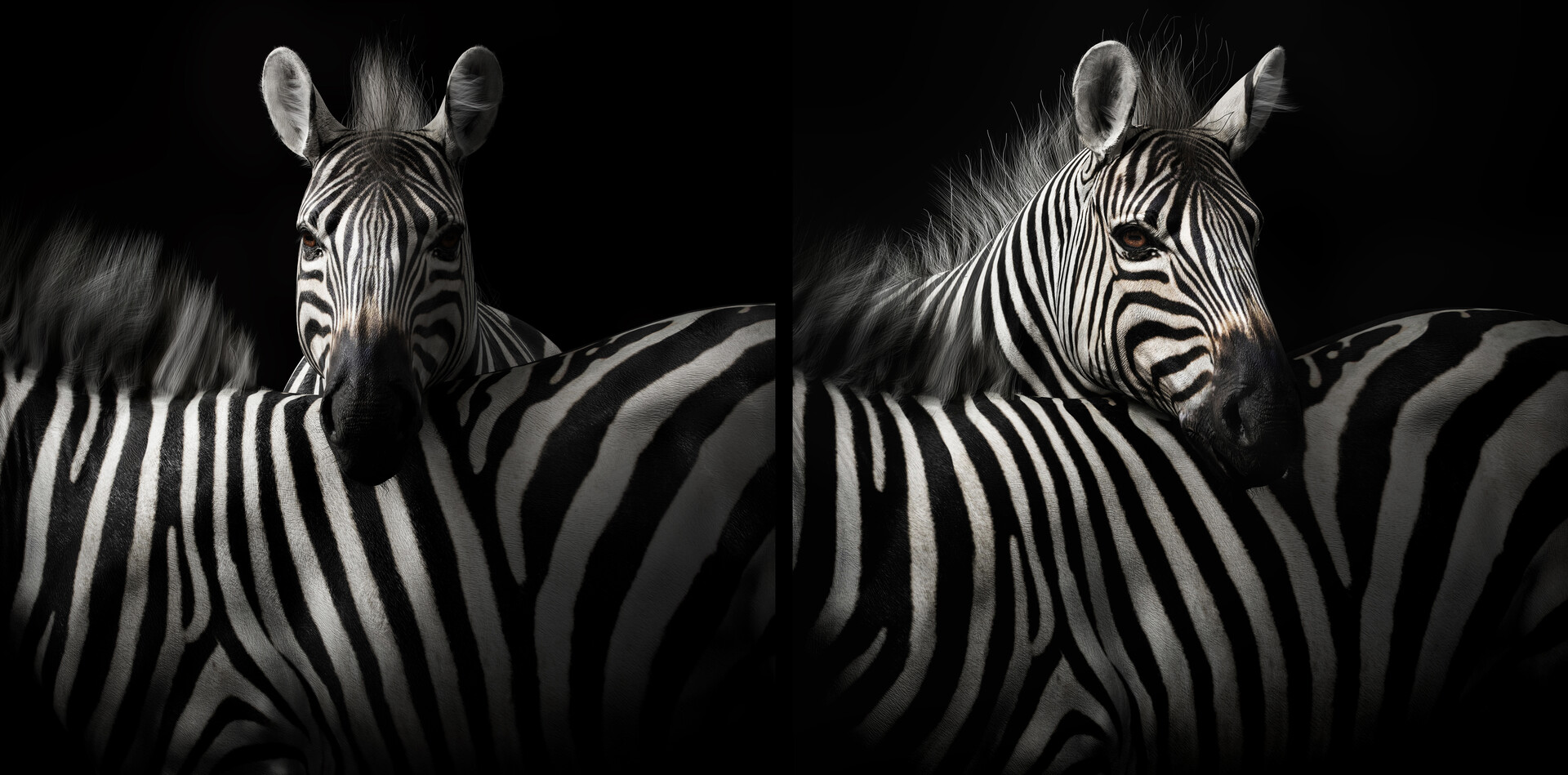 ArtStation - Zebroids...