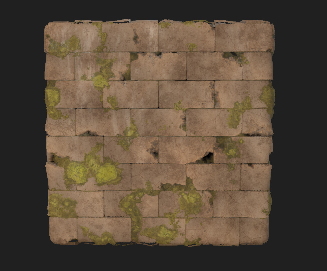 Miguel Santos - Mossy Wall