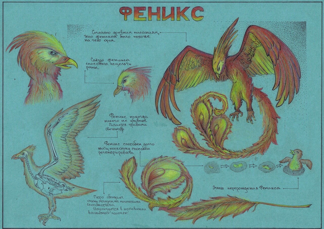 ArtStation - Phoenix Art