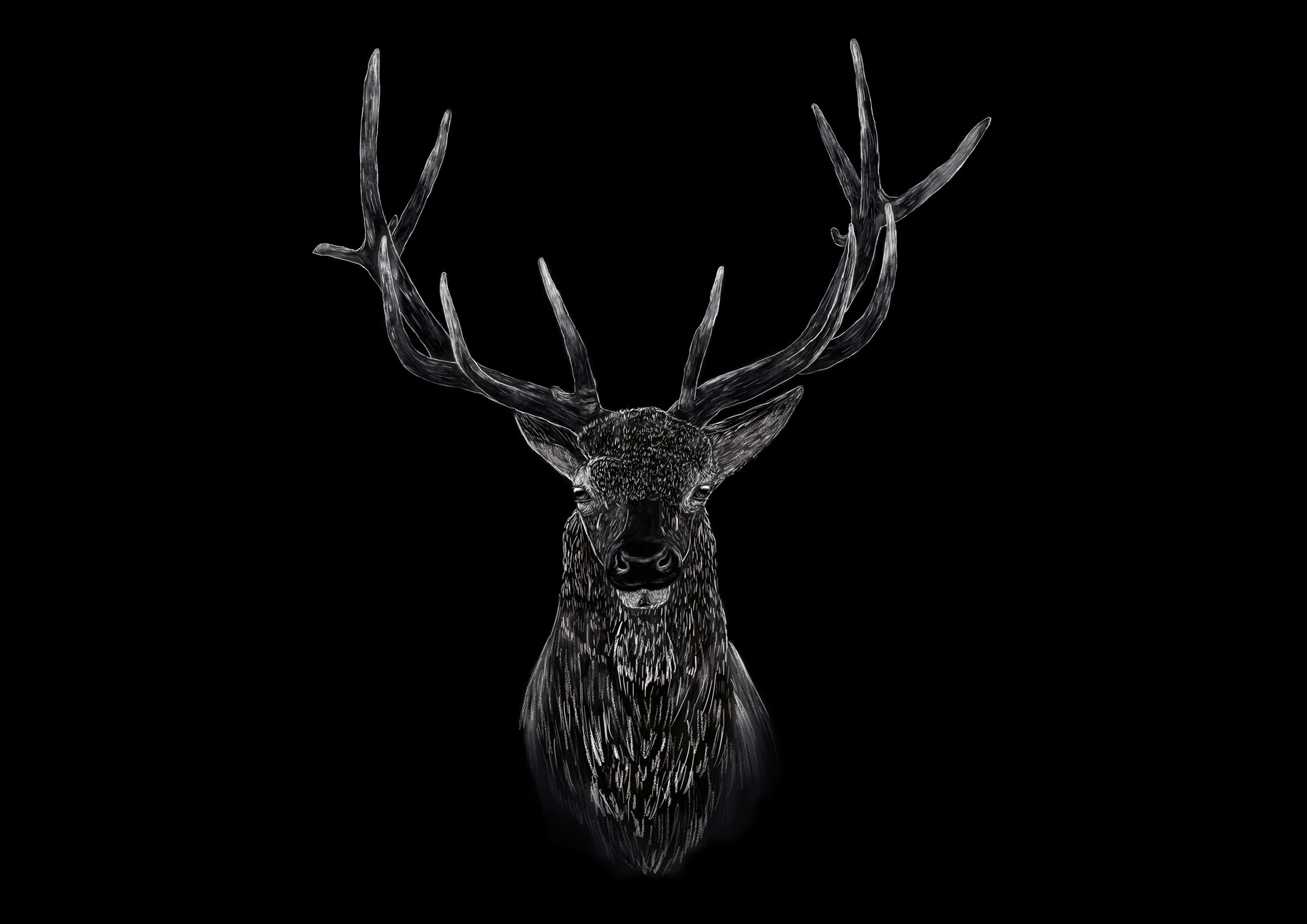 ArtStation - Deer, Lara & Matic