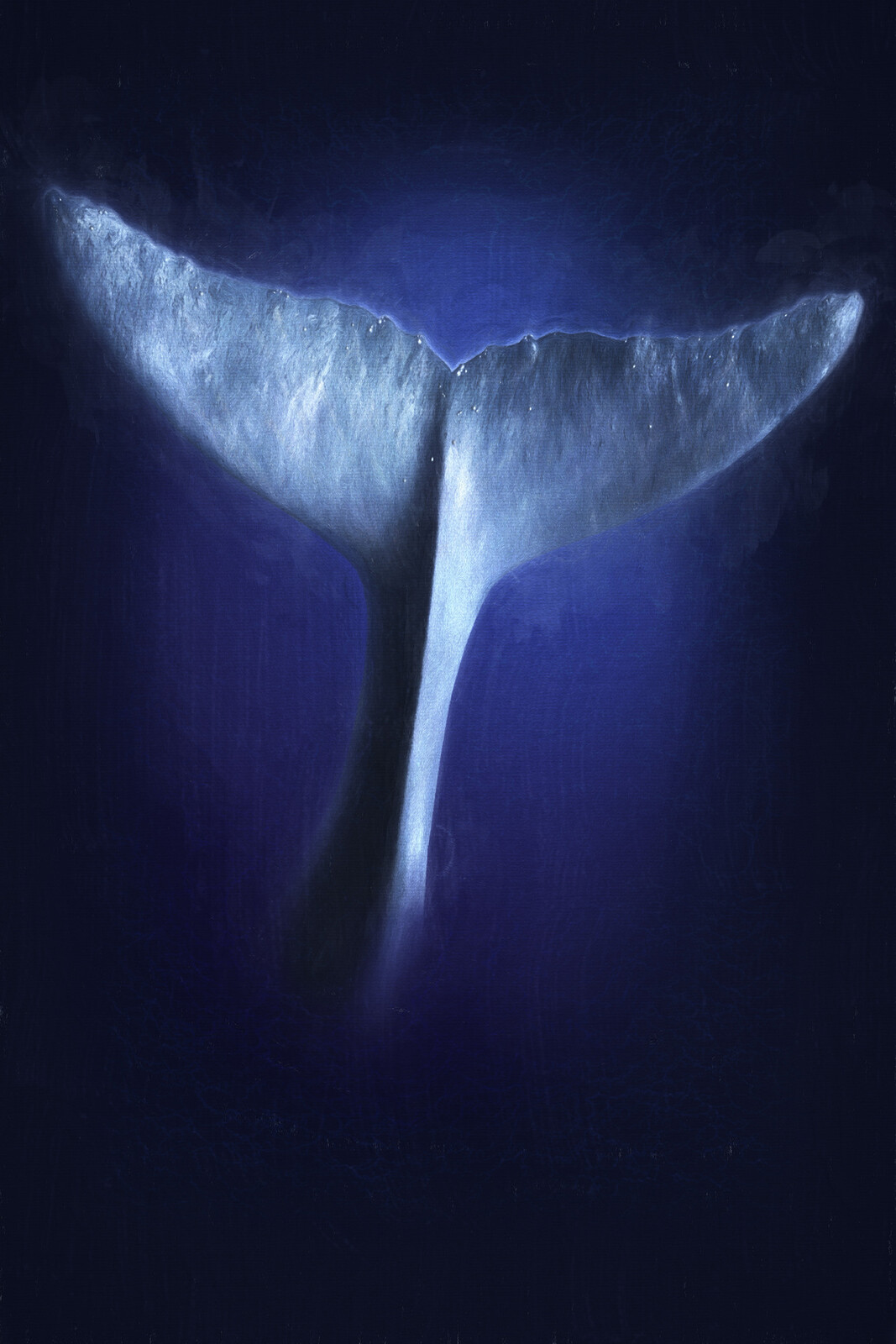 Jake L Rowell - theBlu: Season 1