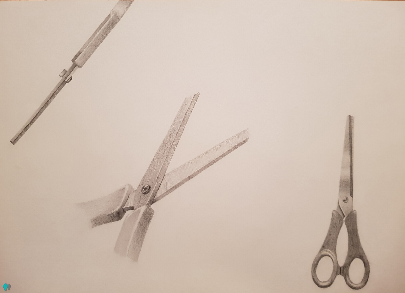 Alexander Schmitt - still life: scissors