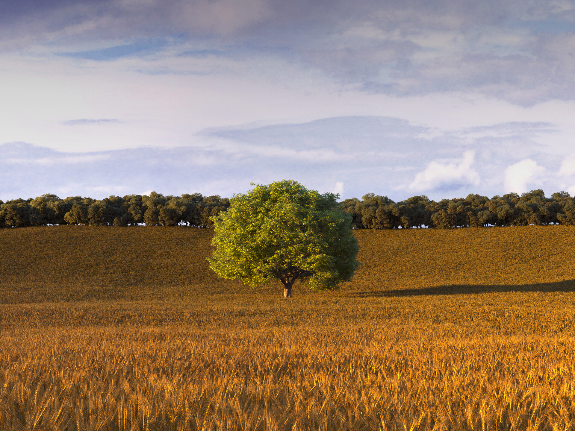 ArtStation - Plein champs 1 - 2017