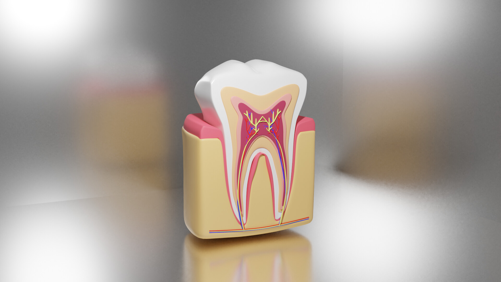 ArtStation - Tooth Modelling 3D