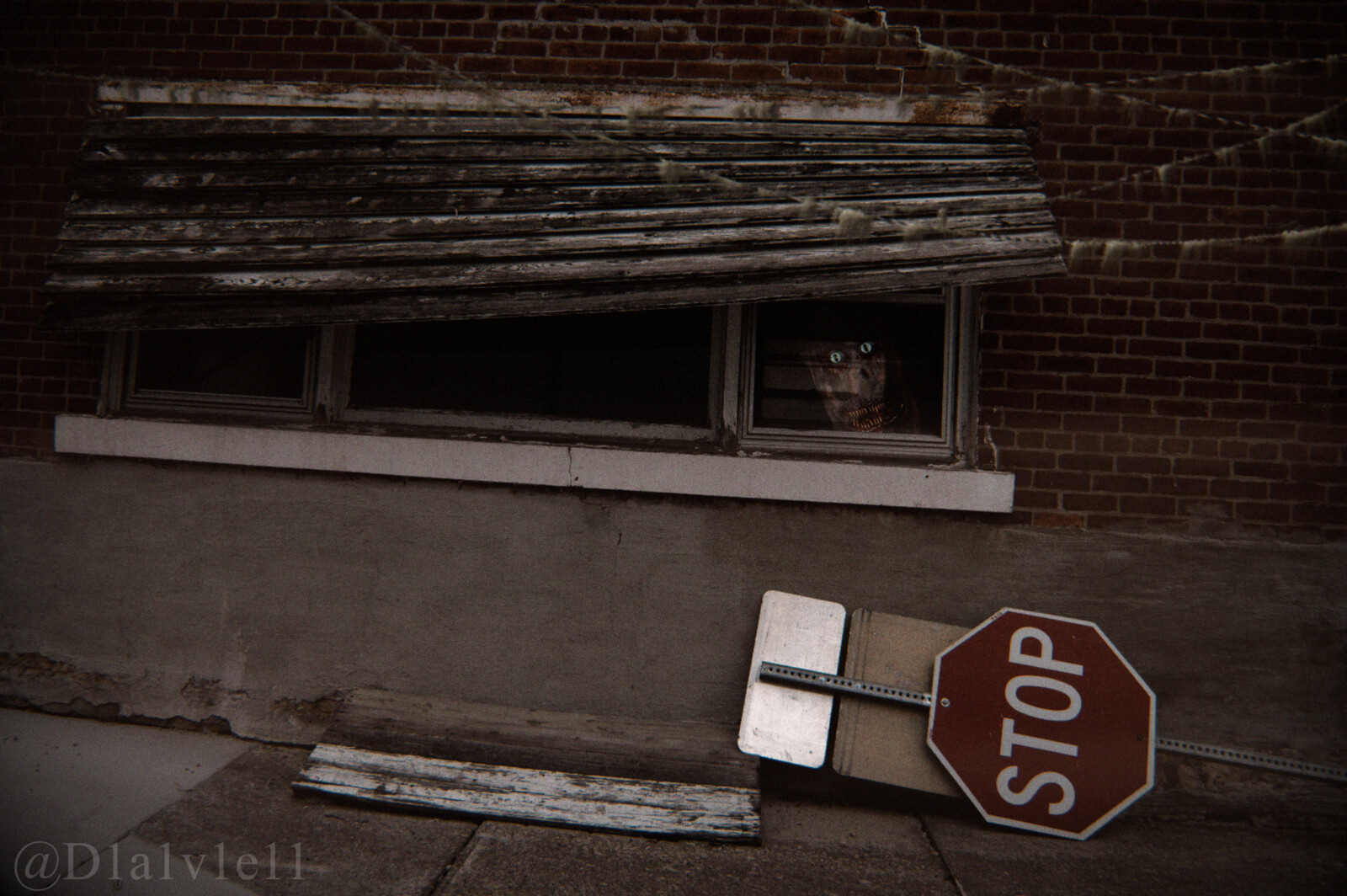 David Petratos - Window Creature