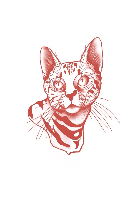 ArtStation - Cat design