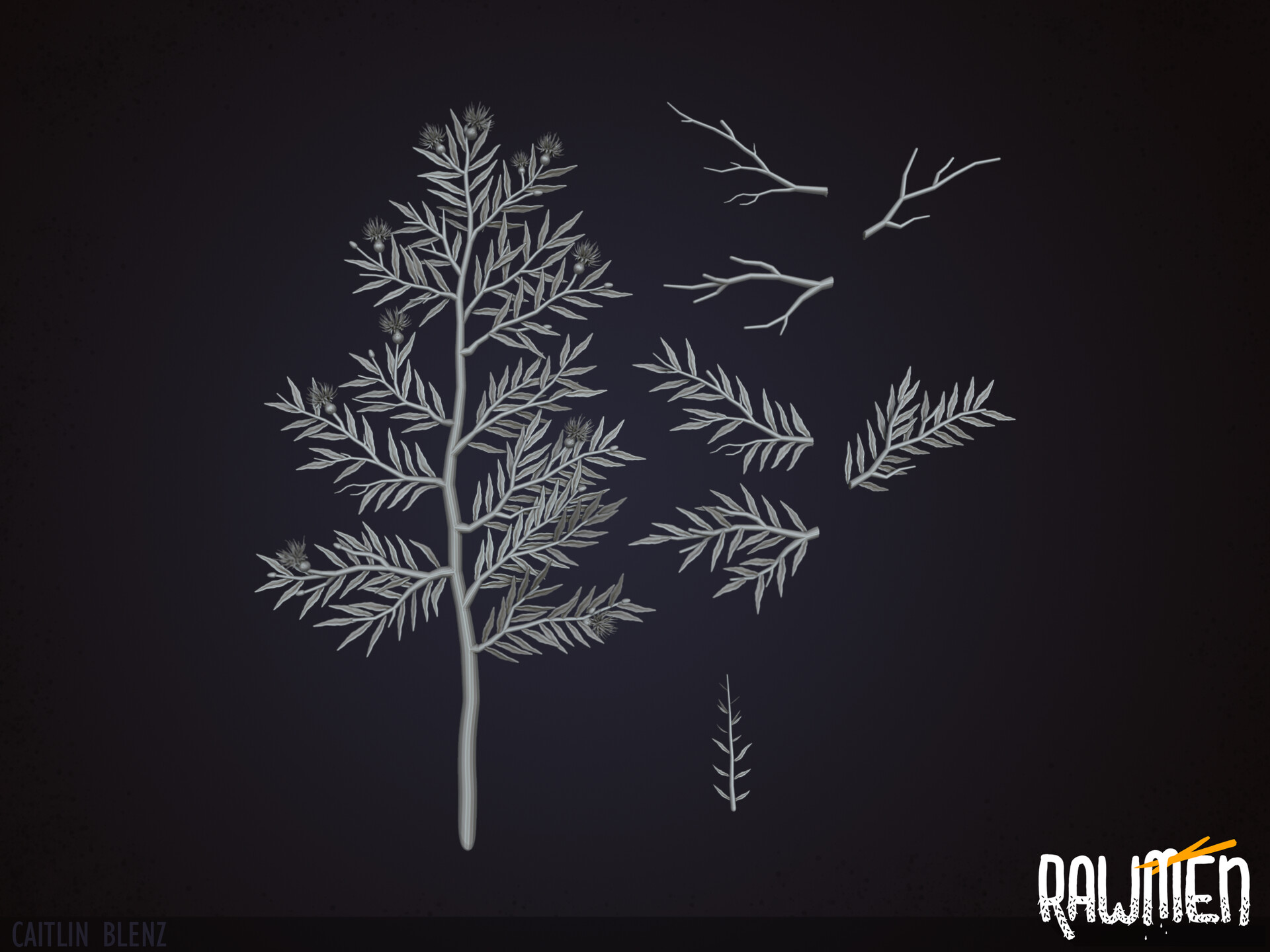 Caitlin Blenz - Foliage - RAWMEN