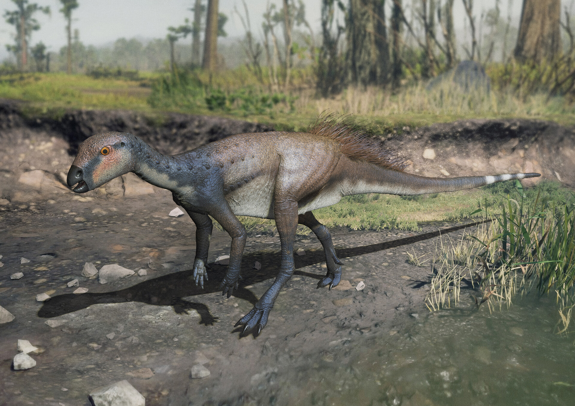 Hypsilophodon