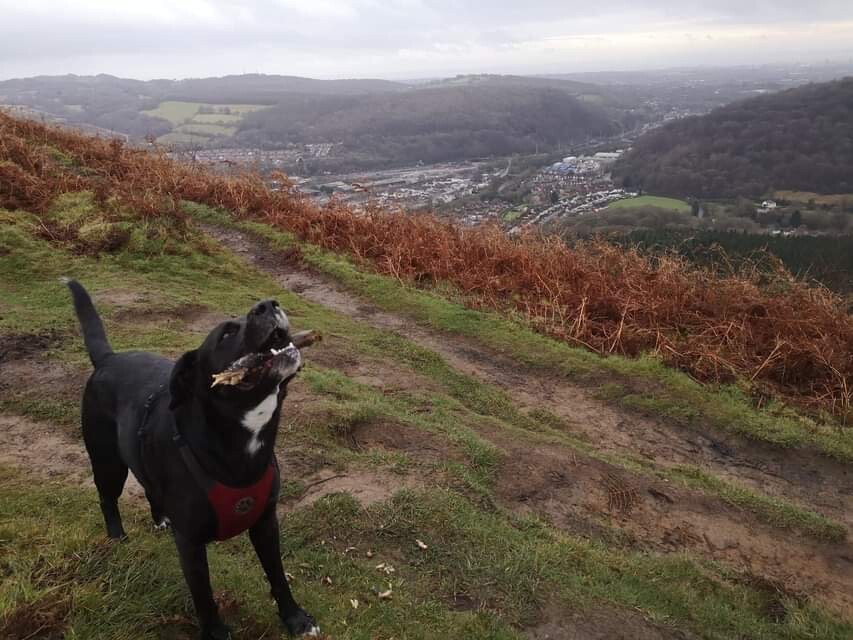 Rowan Hopkins - Rylo Ken