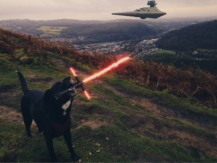 Rowan Hopkins - Rylo Ken