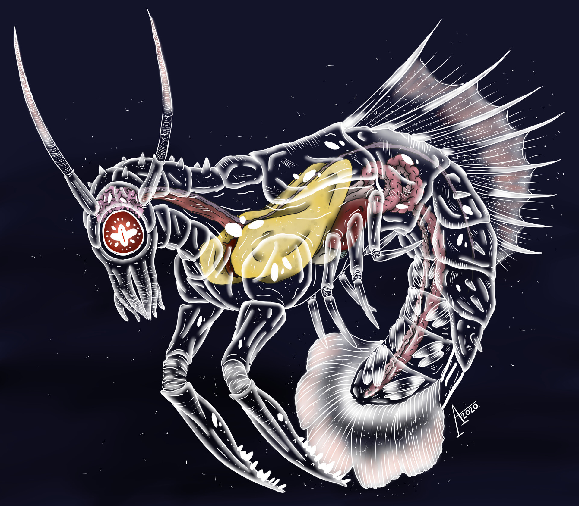 ArtStation - The Red Horned Devil Ghost Shrimp