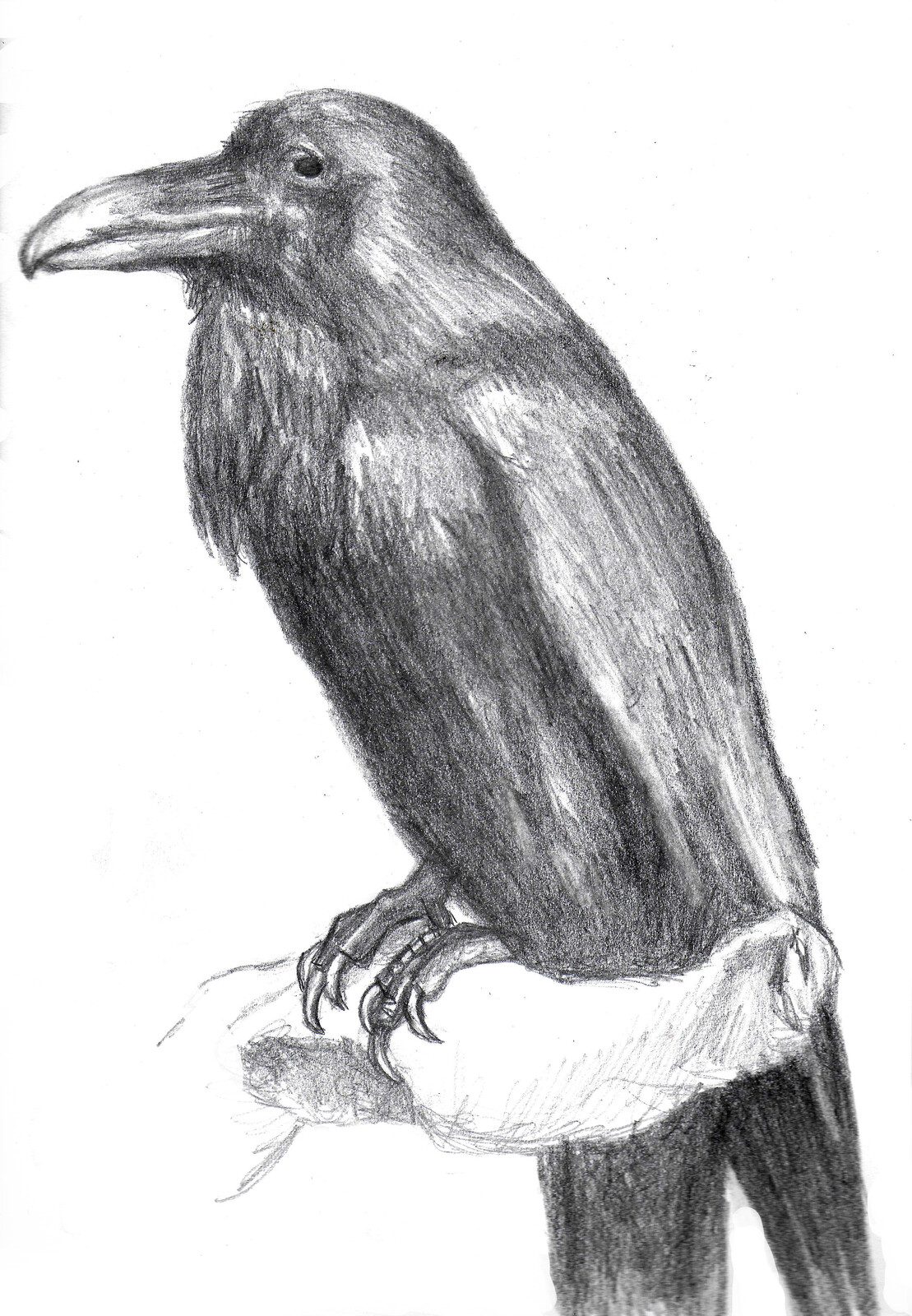 Graham Voss - The Raven