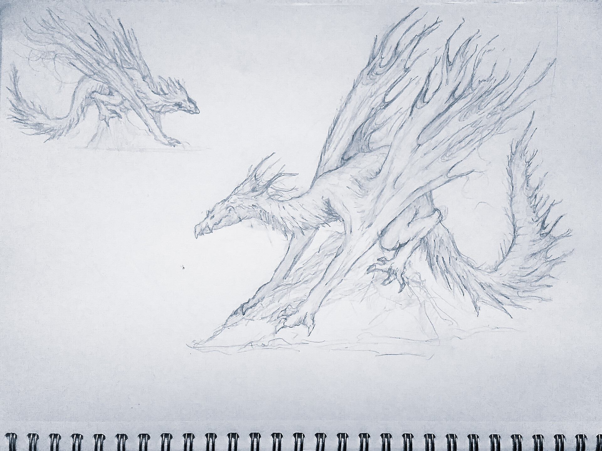 ArtStation - Unnamed Wyvern sketch