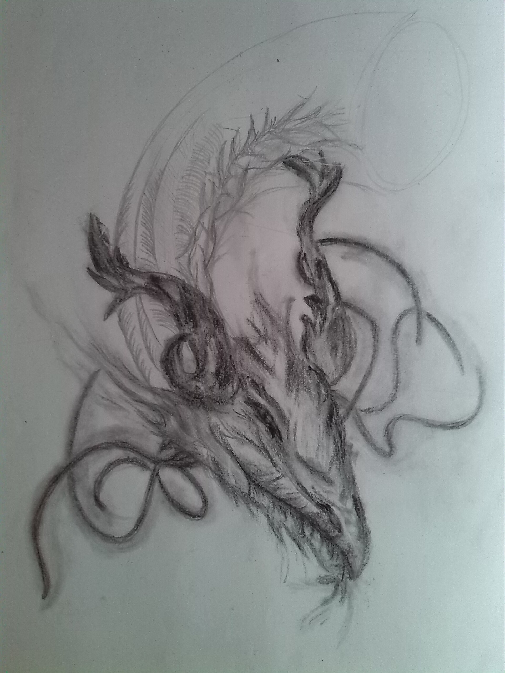 ArtStation - Dragon - Charcoal and Chinese Ink