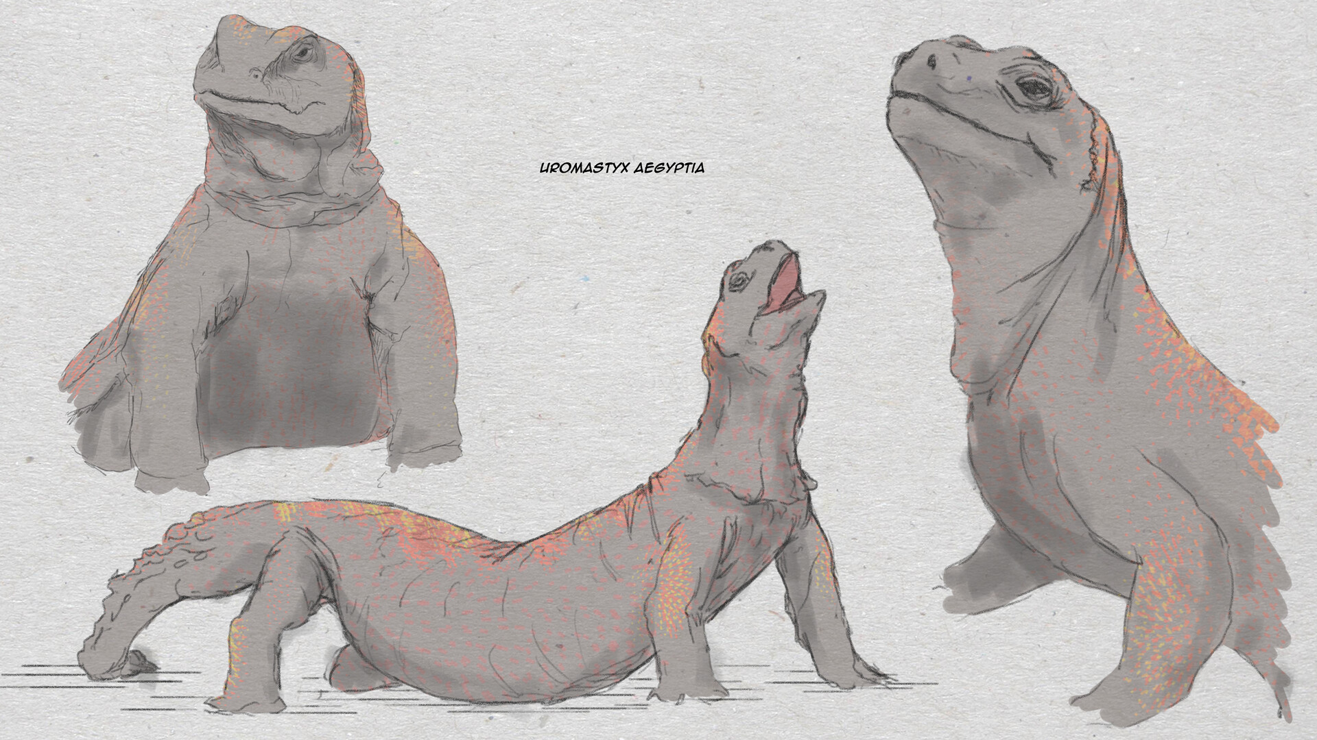ArtStation - Lizard study