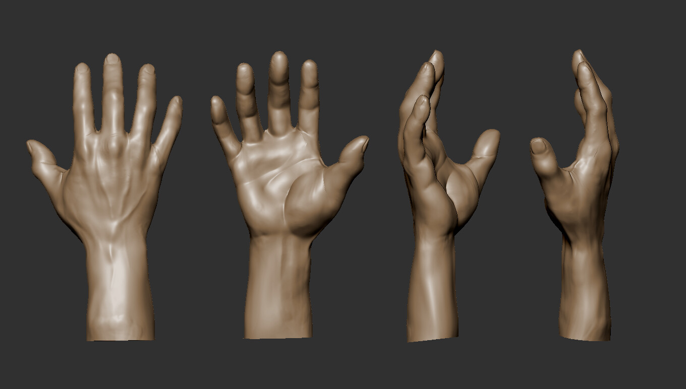 hand reference drawing 3d