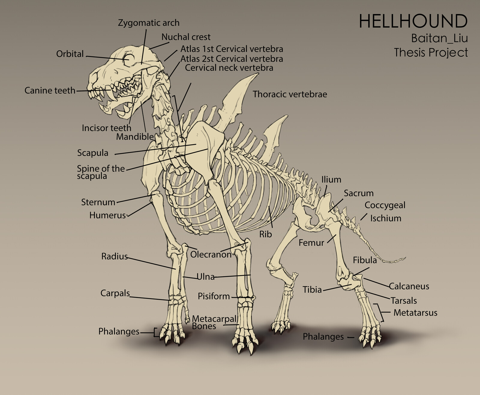 Baitan 柏坦 - Hellhound