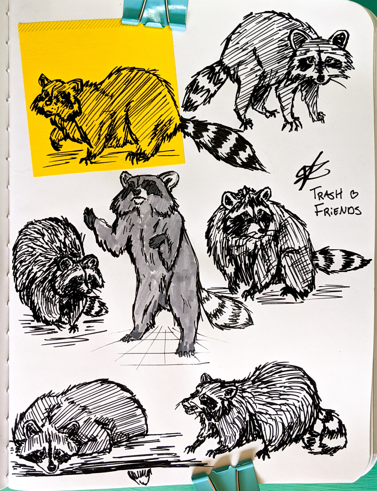 AJ Blake - Portfolio