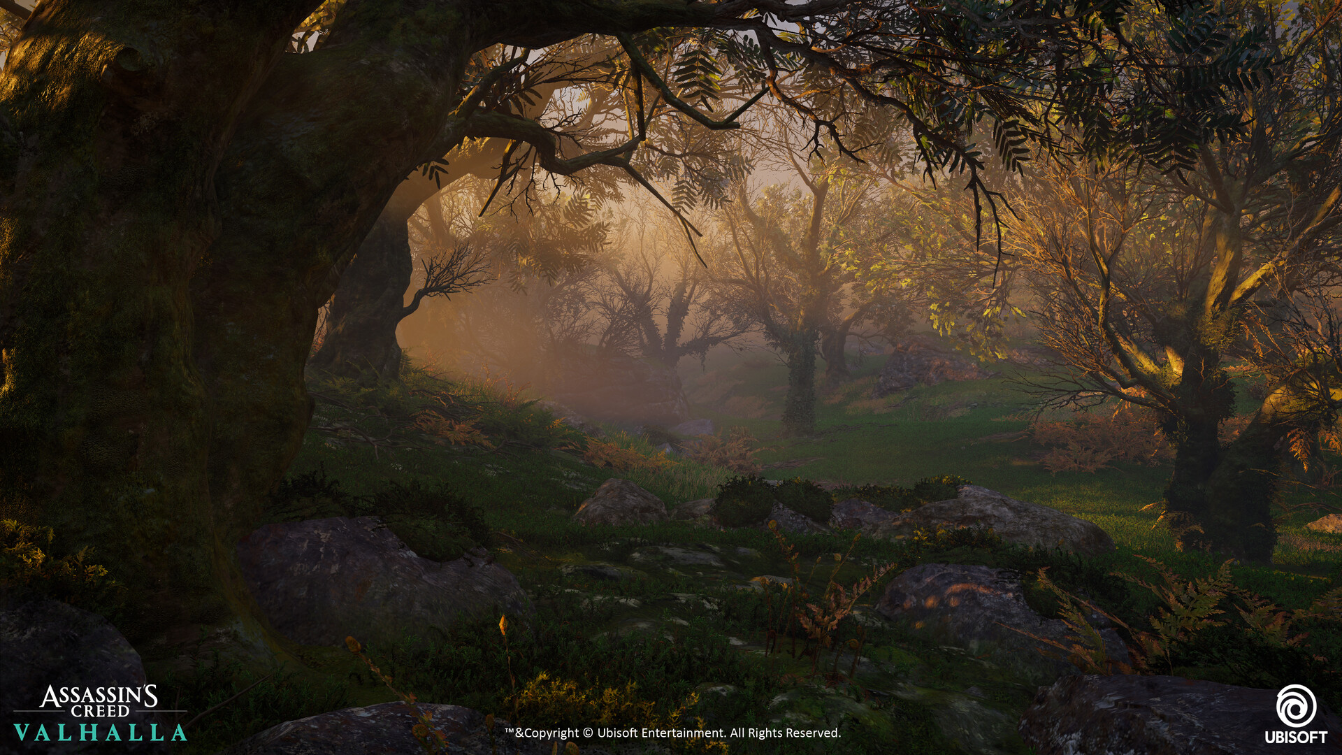 Georgi Hristov - Assassin's Creed Valhalla: Wistman's Wood