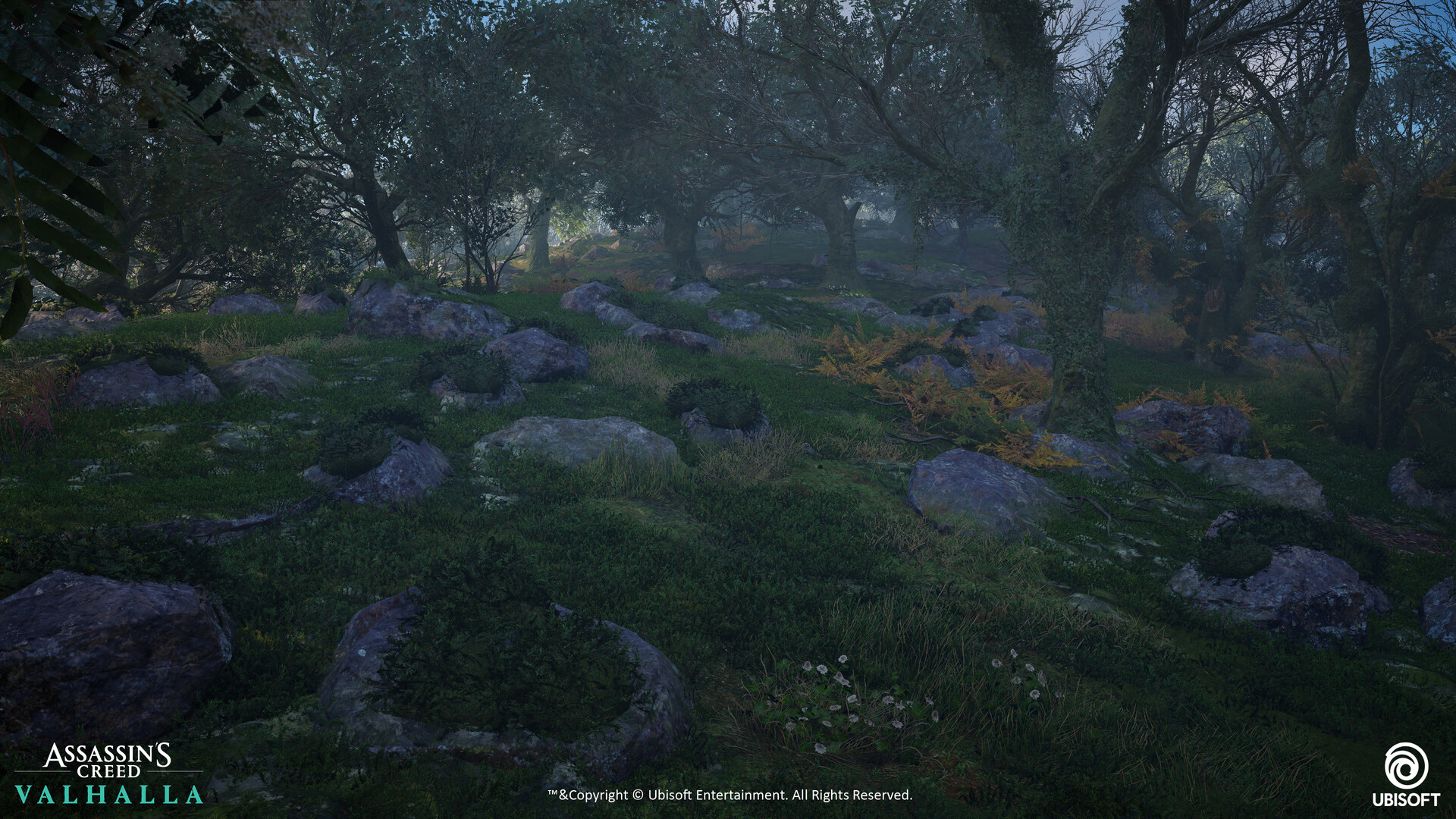 Georgi Hristov - Assassin's Creed Valhalla: Wistman's Wood