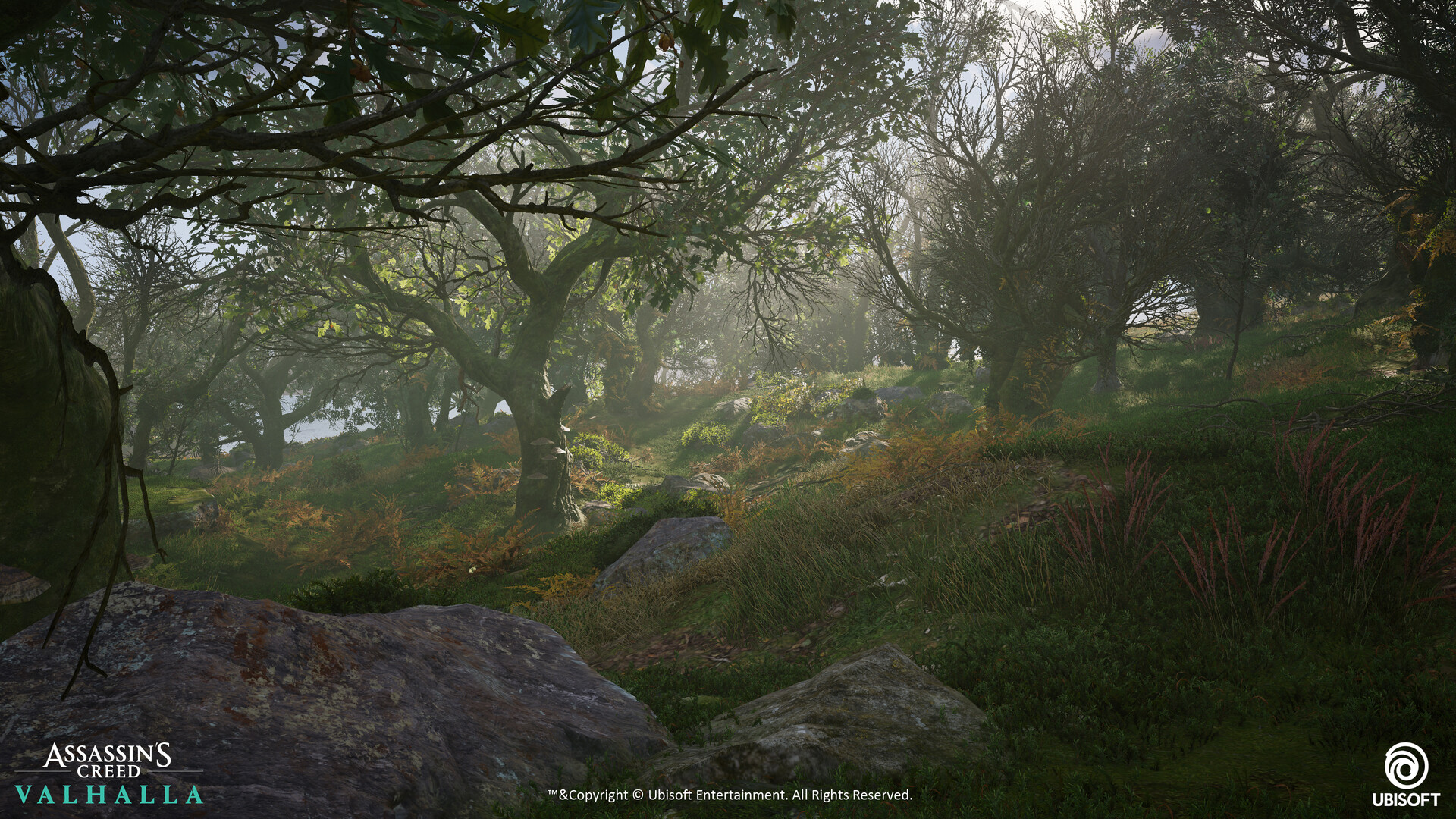 Georgi Hristov - Assassin's Creed Valhalla: Wistman's Wood