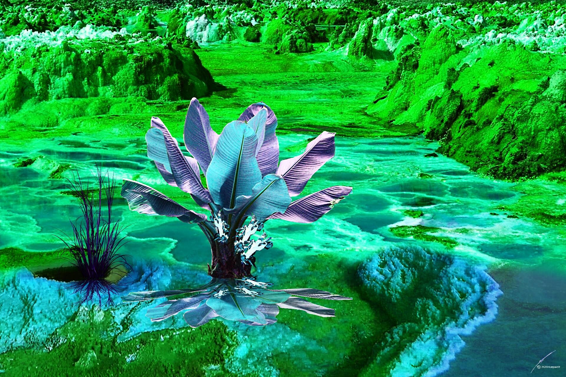 ArtStation - ALIEN LIGHT AGE 👽