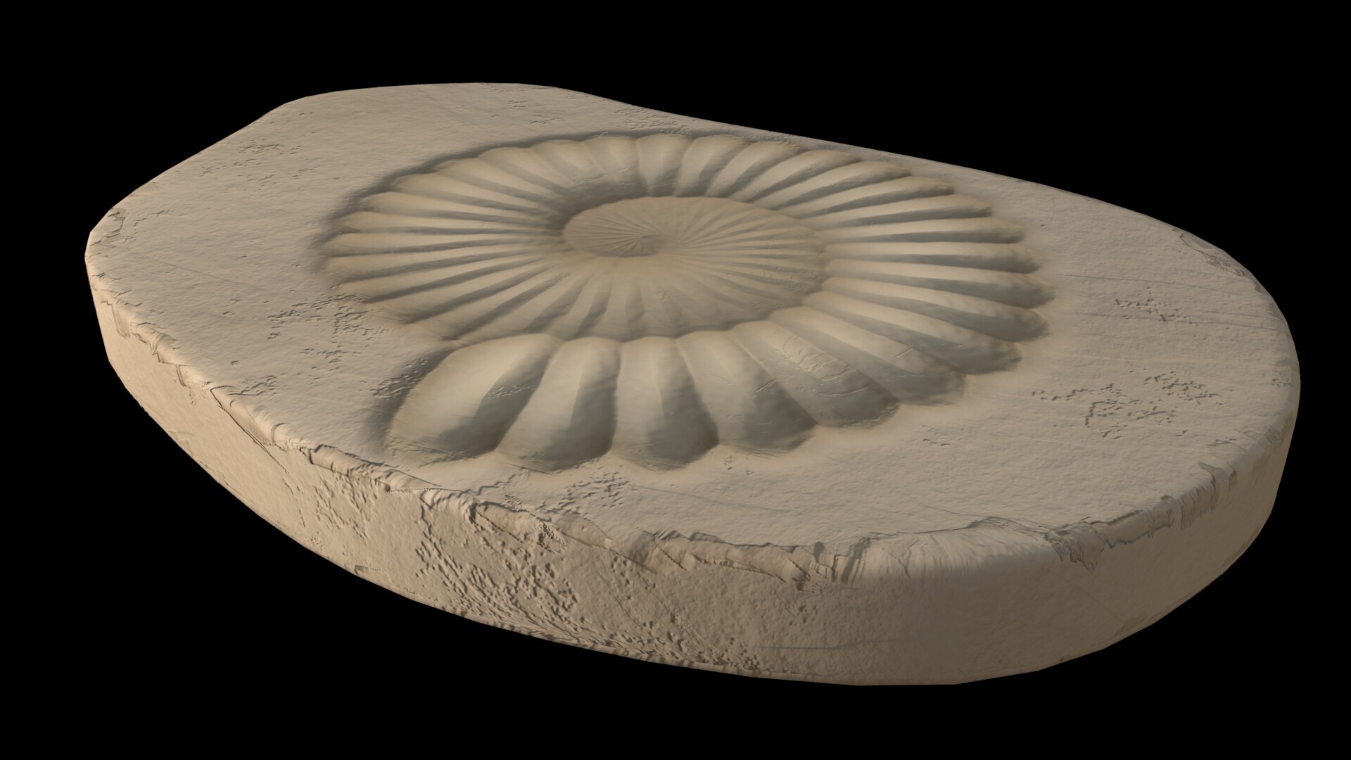 Real Helix Fossil