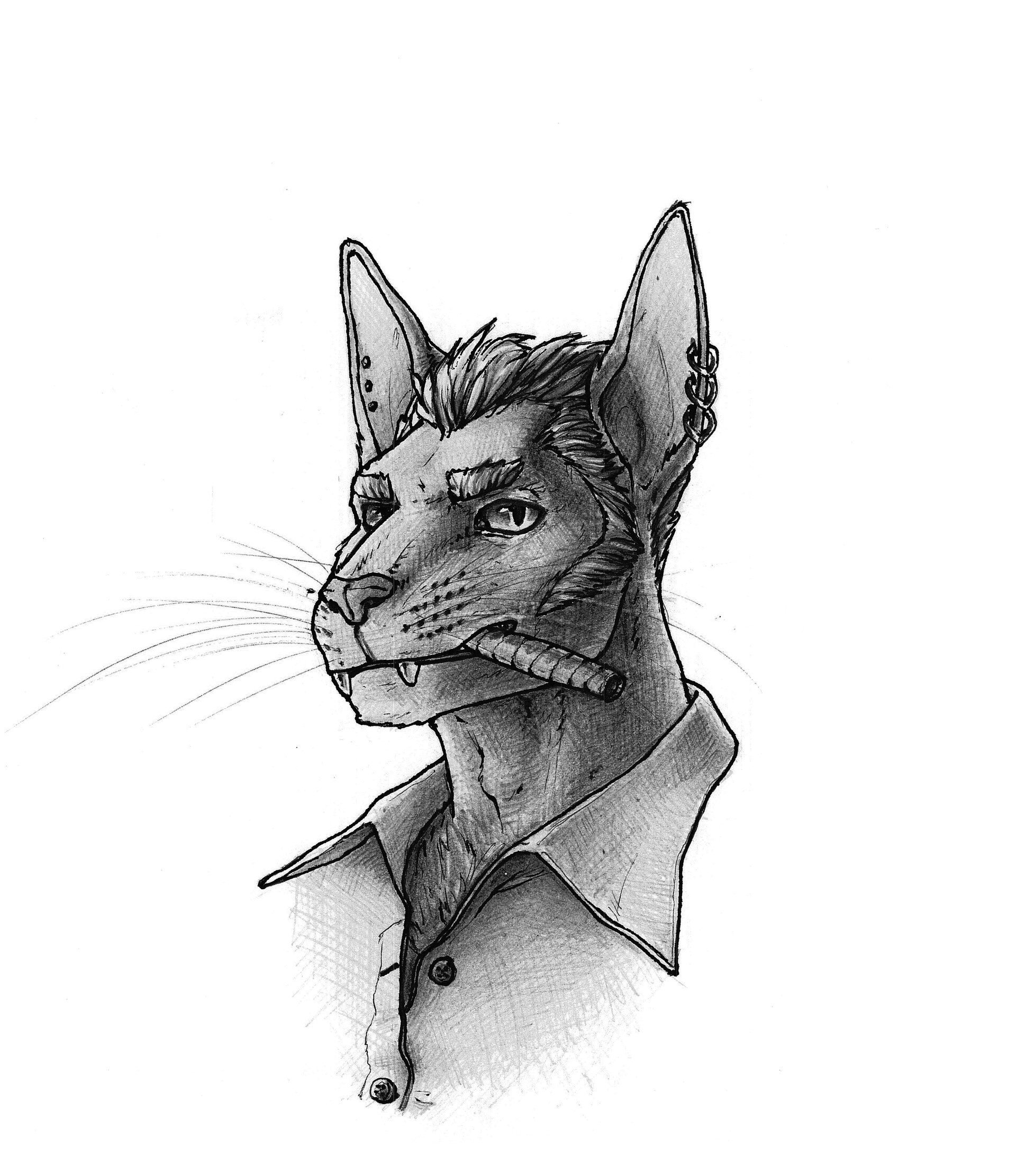 ArtStation - Cat guy