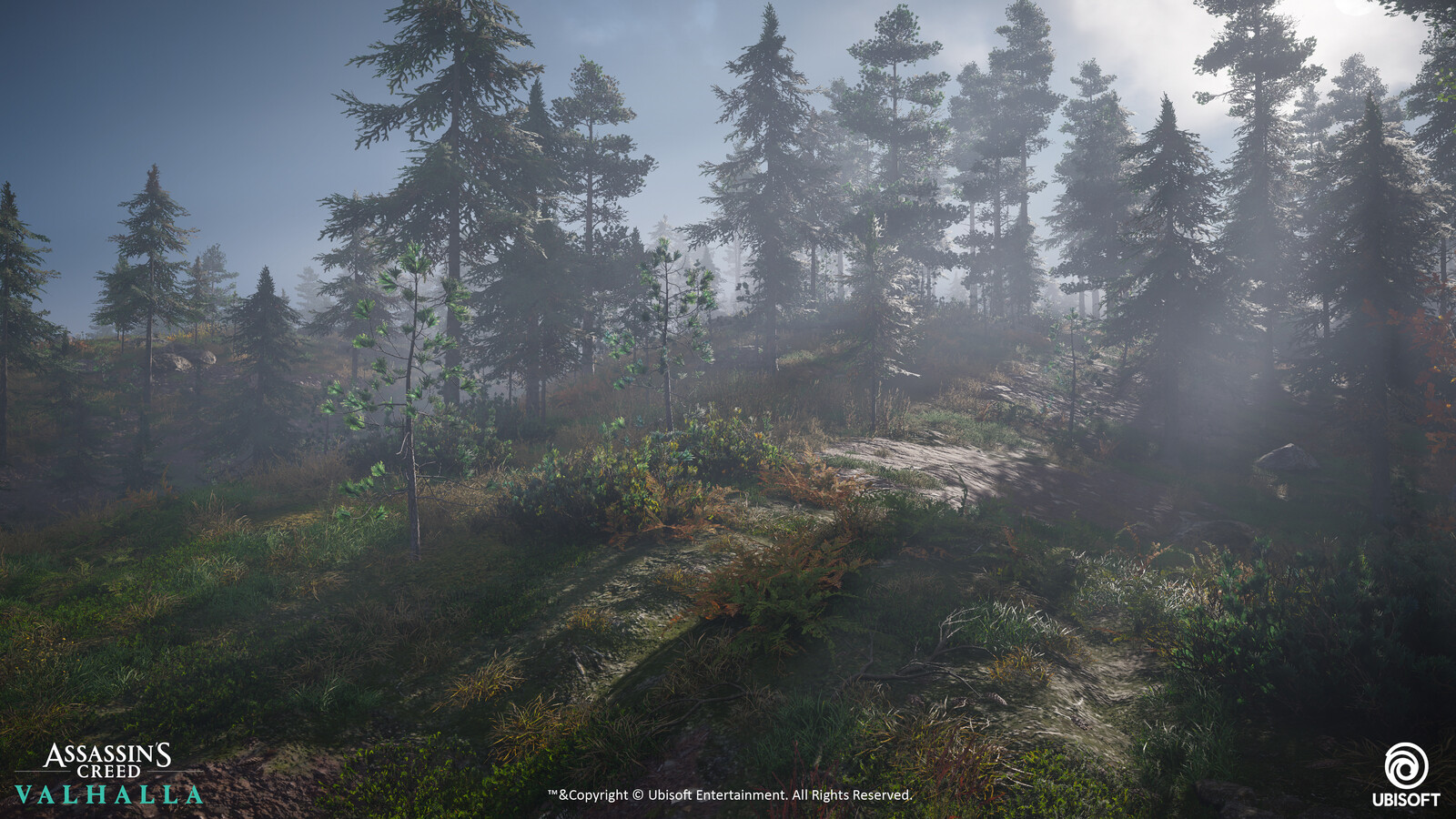 Georgi Hristov - Assassin's Creed Valhalla: Bellever Forest