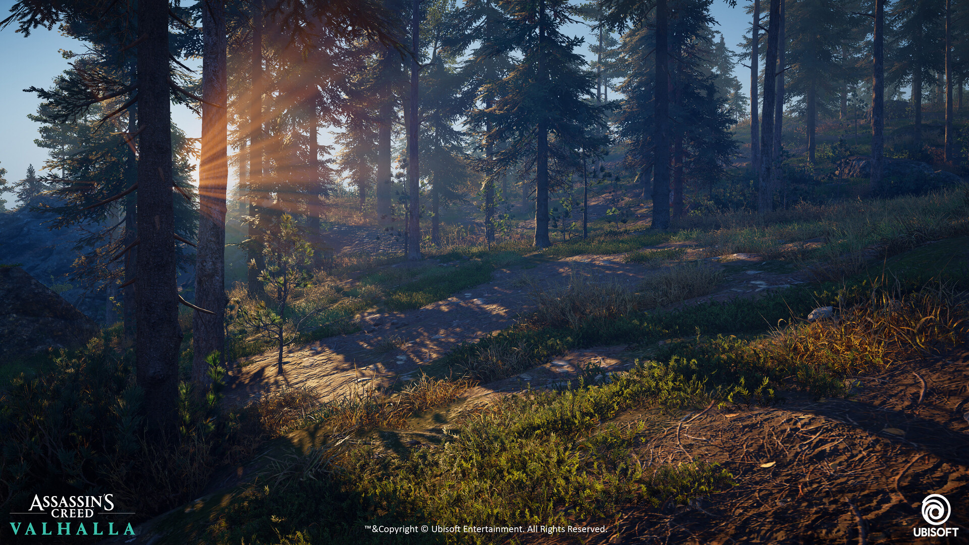 Georgi Hristov - Assassin's Creed Valhalla: Bellever Forest