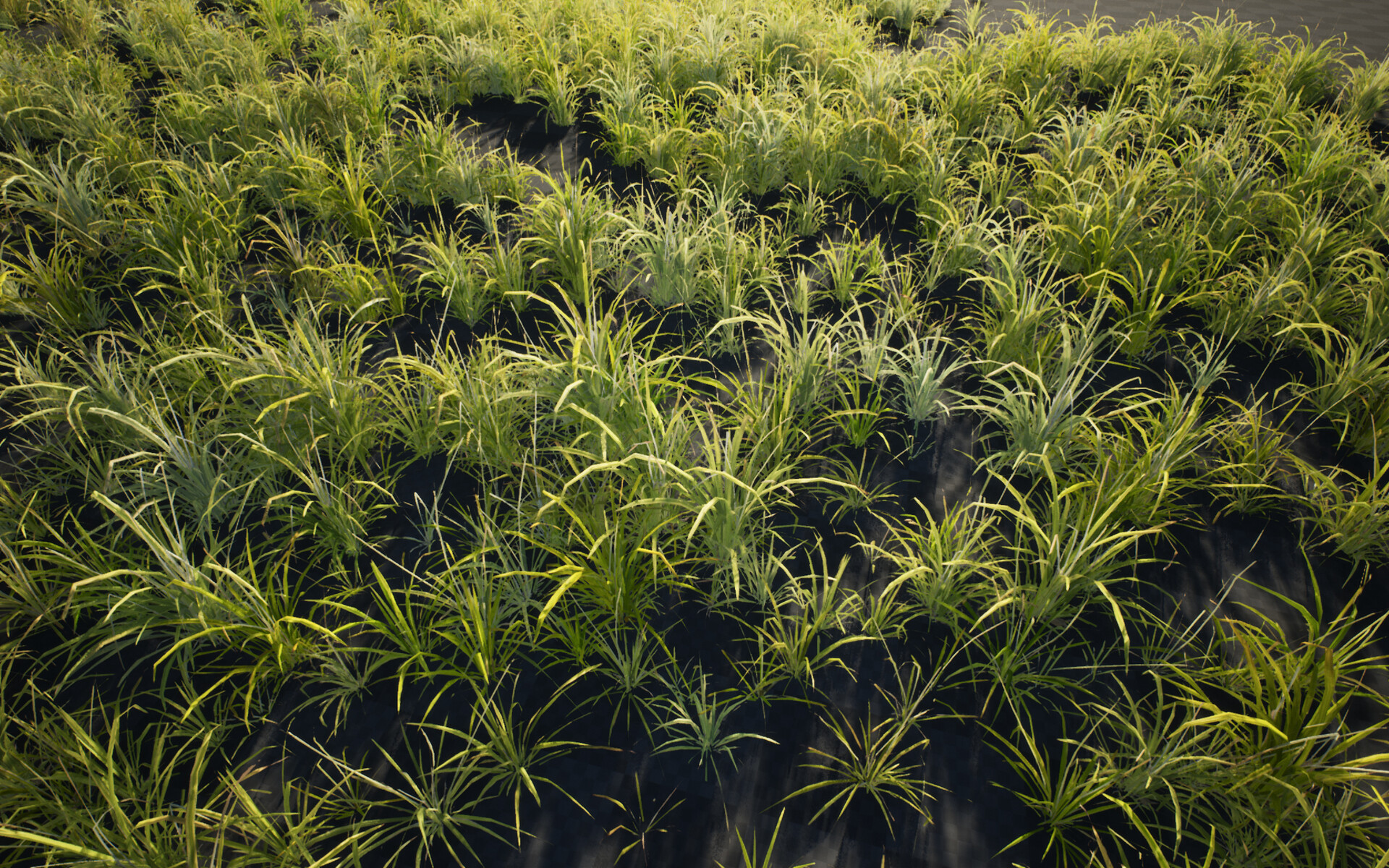 ArtStation - Realistic Grass Lighting For Games
