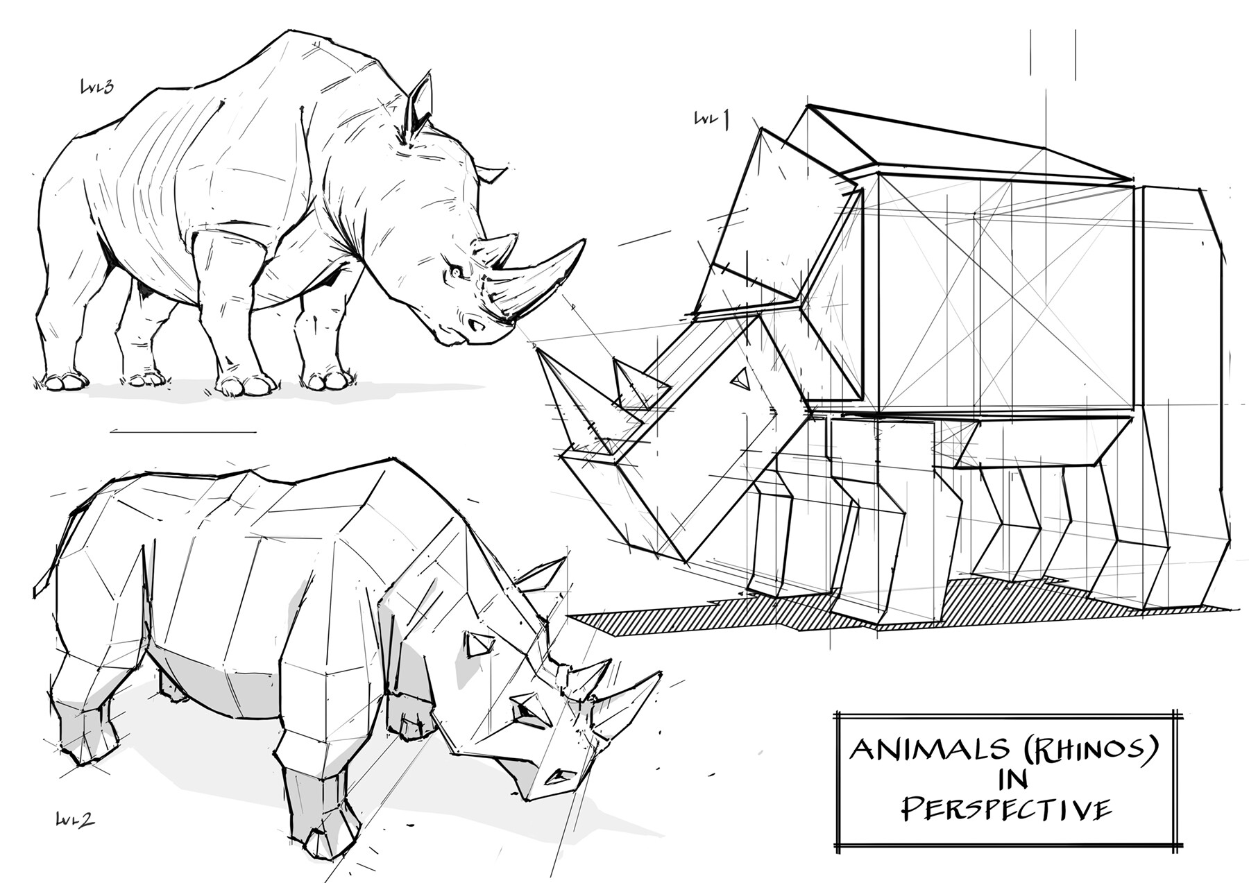 Foundation Art Group - Foundation Art Group: Foundation Sketching ...