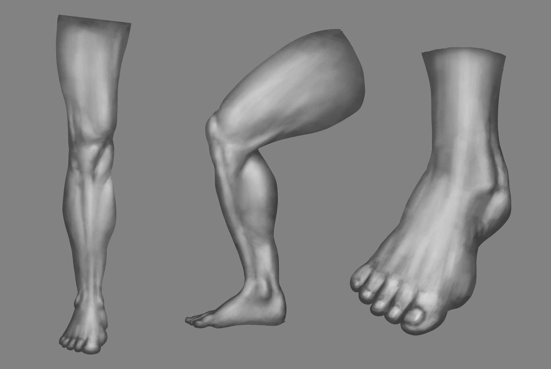 ArtStation - Anatomy practice Legs