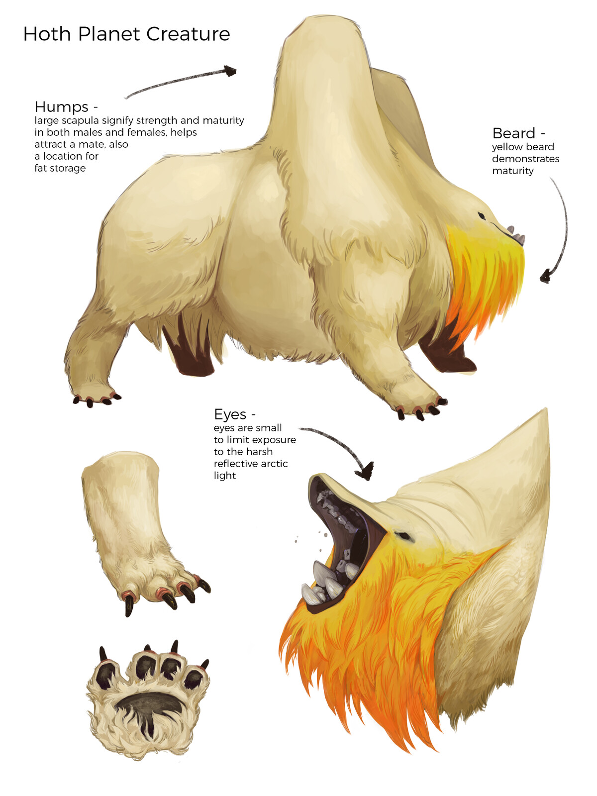 Brooke Hargis - Creature Design | Hoth