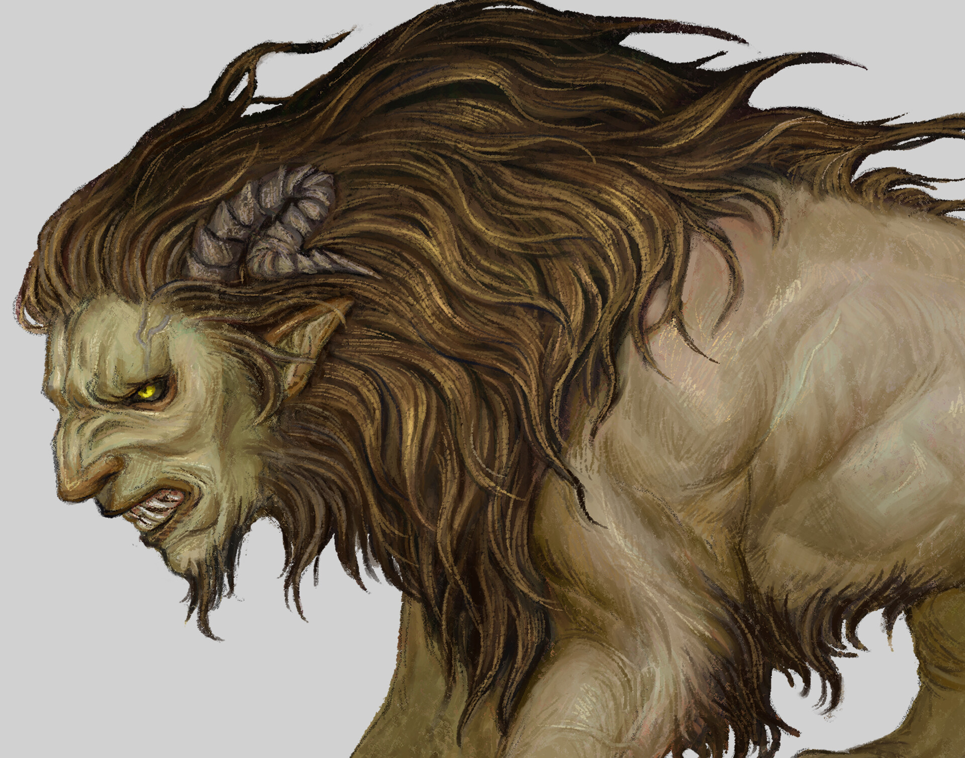 manticore head drawing